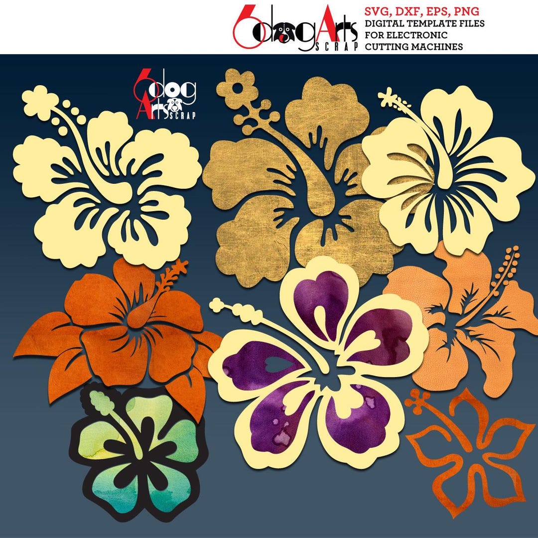 25 Hibiscus Designs Vector Digital Vector Files Svg Dxf Eps Png ...