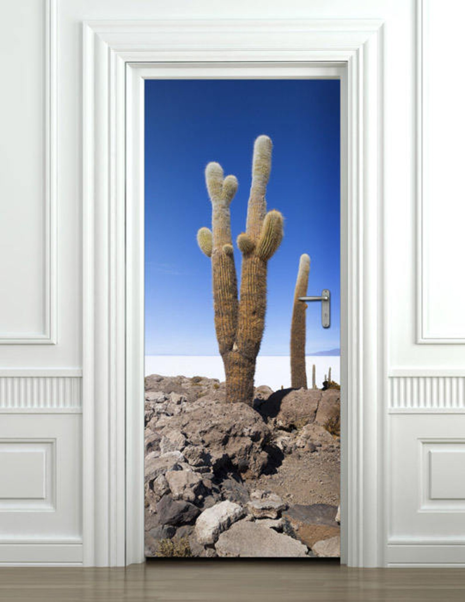 Cactus Door Wall Decal, Door Wallpaper, Door Mural, Cactus Nature Wall ...