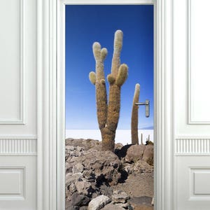 Cactus Door Wall Decal, Door Wallpaper, Door Mural, Cactus Nature Wall ...