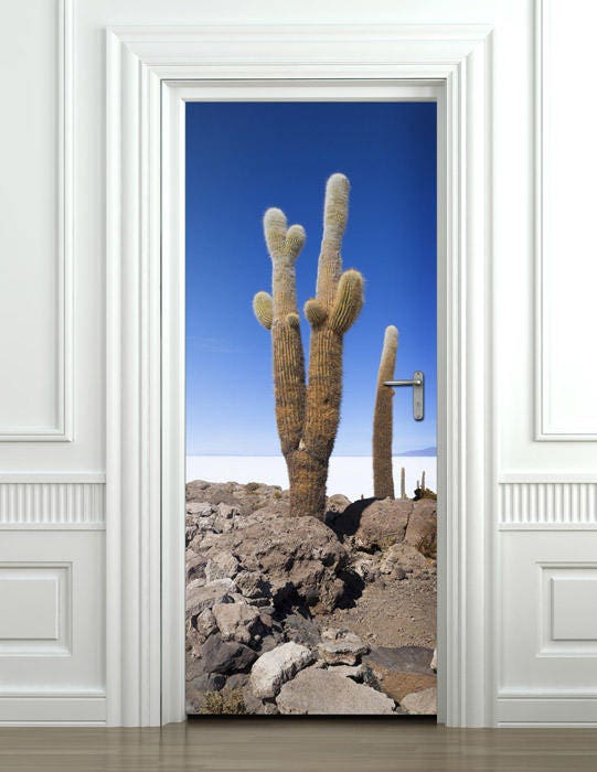 Cactus Door Wall Decal, Door Wallpaper, Door Mural, Cactus Nature Wall ...