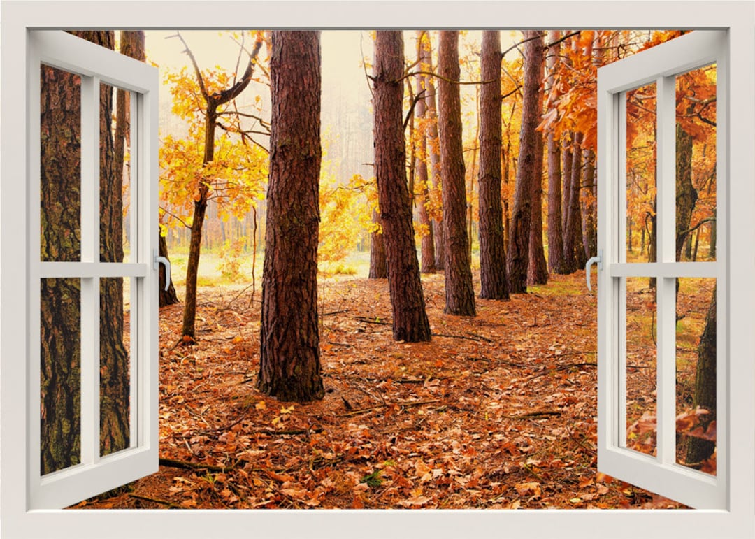 Forest Wall Decal, Autumn Trees 3d Window Wall Decal, Forest Autumn ...