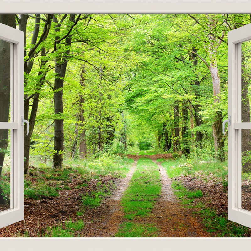 3d Wallpaper Nature - Etsy