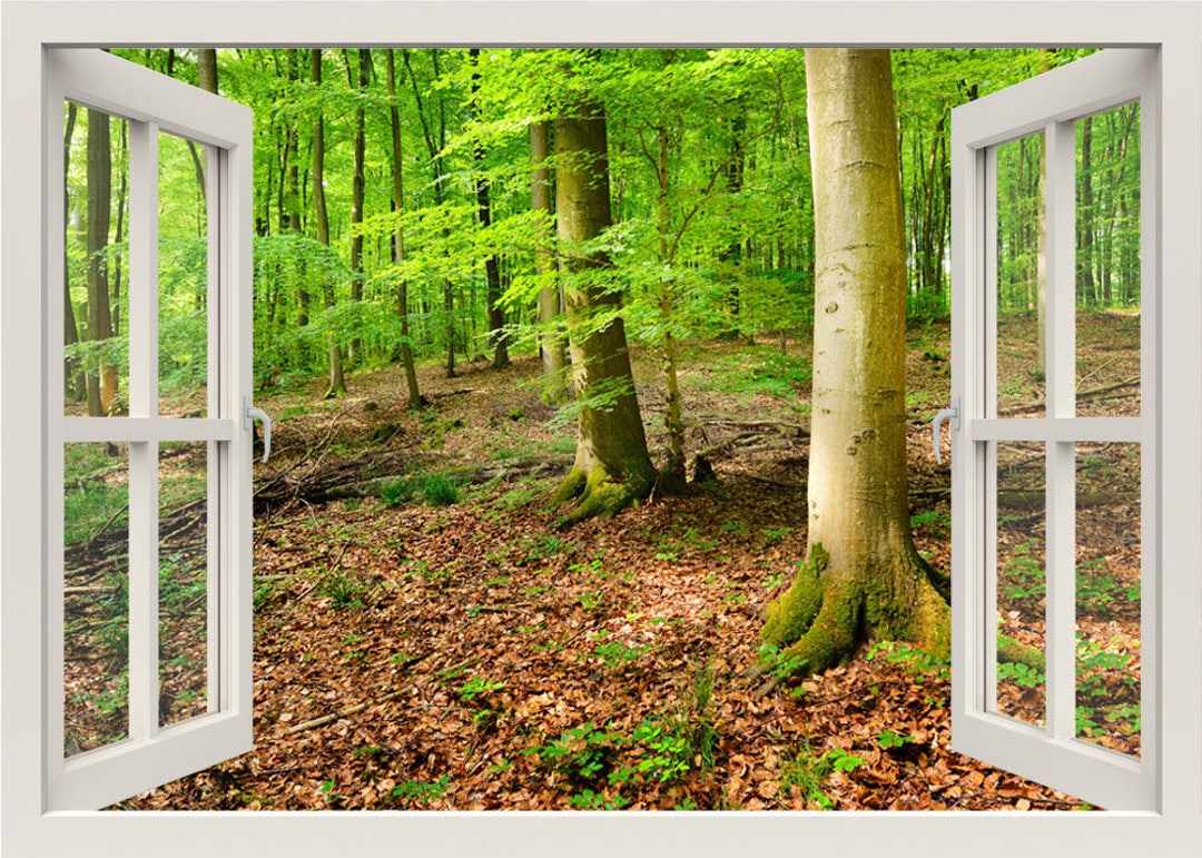 Spring Forest Wall Decal, Trees Wall Sticker, 3d Window View Nature ...