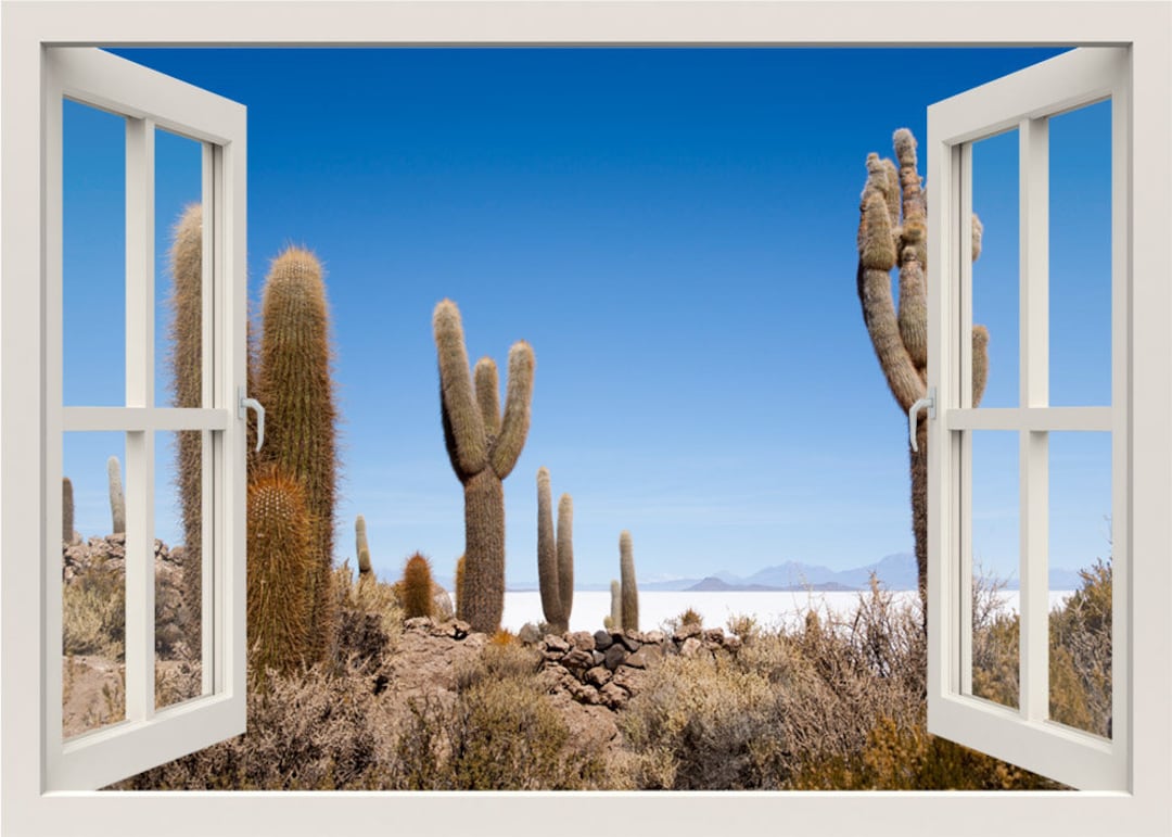 Cactus Wall Sticker, Nature Desert Mural, Cactus Wall Decal, 3d Window ...
