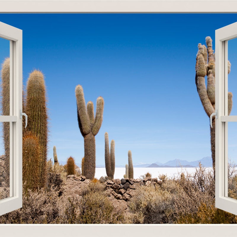 Cactus Wall Decal - Etsy