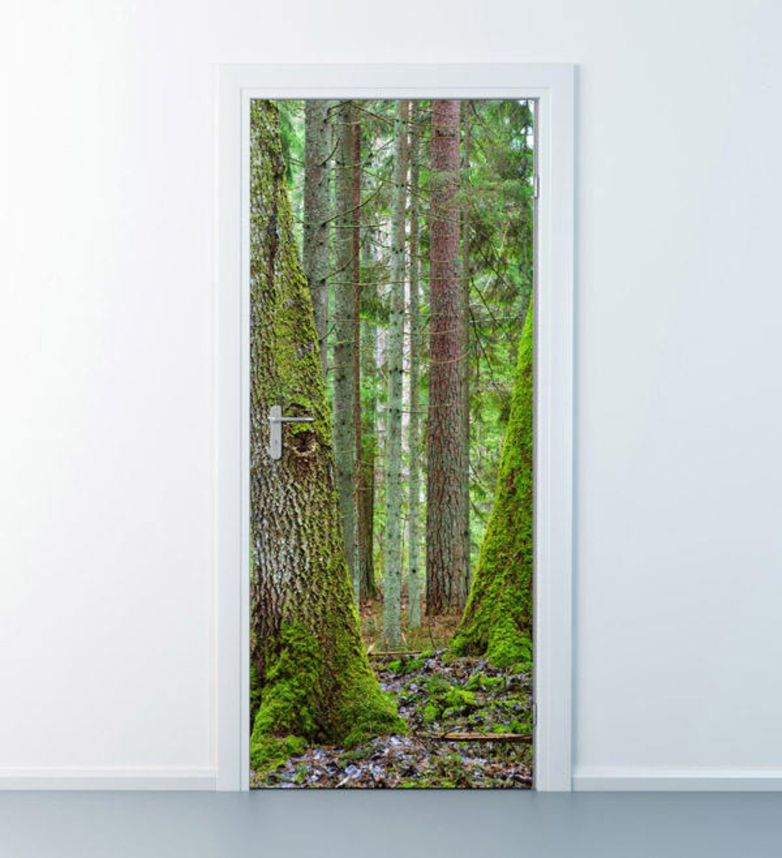 Forest Wall Door Decal Door Sticker Door Mural Forest Trees - Etsy