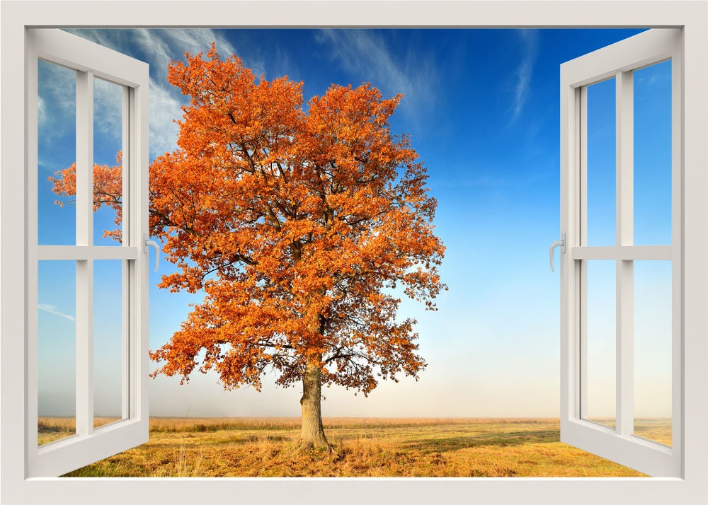 Tree Wall Decal 3d Window Wall Decal Forest Nature Wall - Etsy