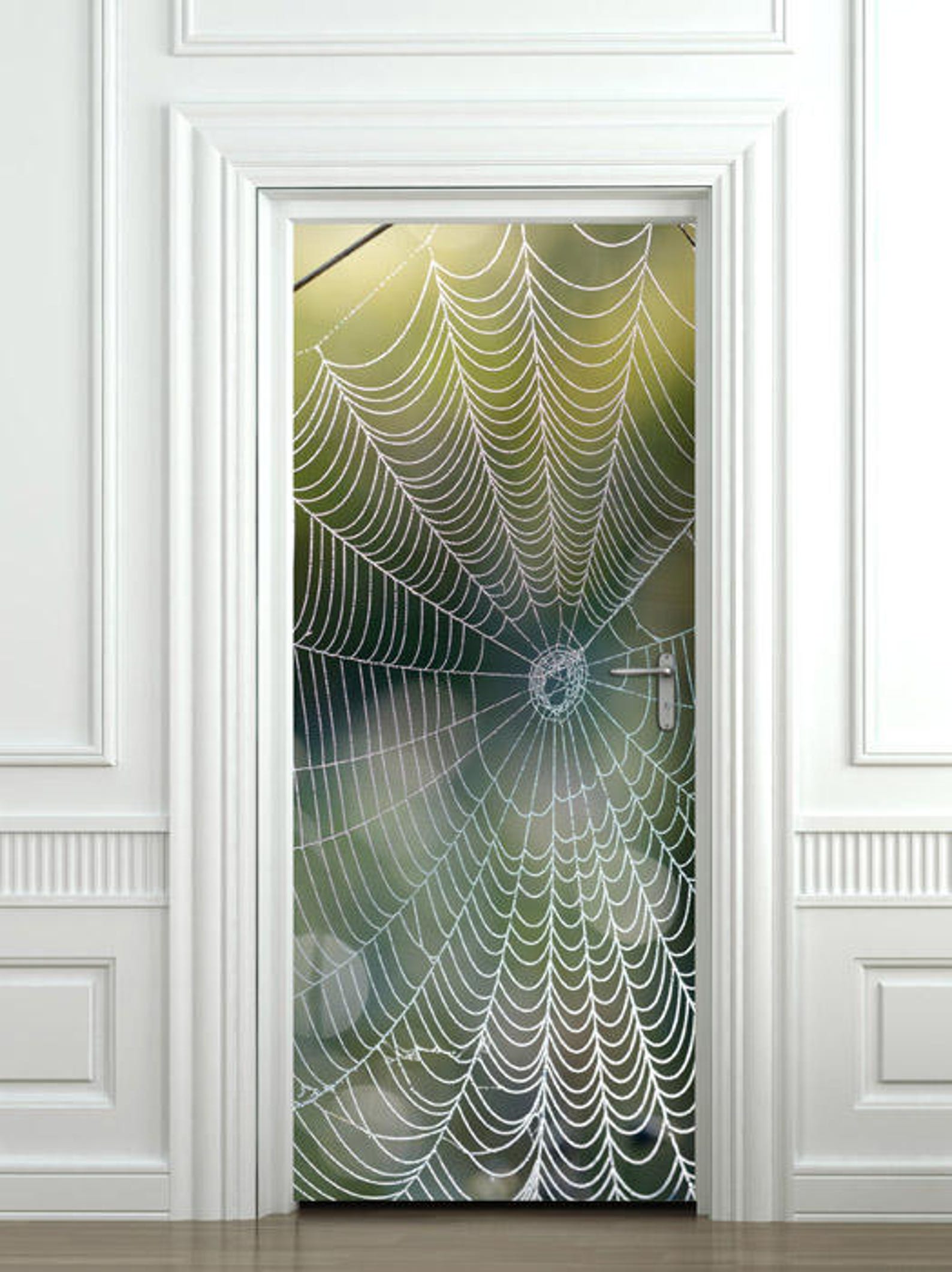 Spider Web Wall Decal Door Mural Spider Web Door - Etsy