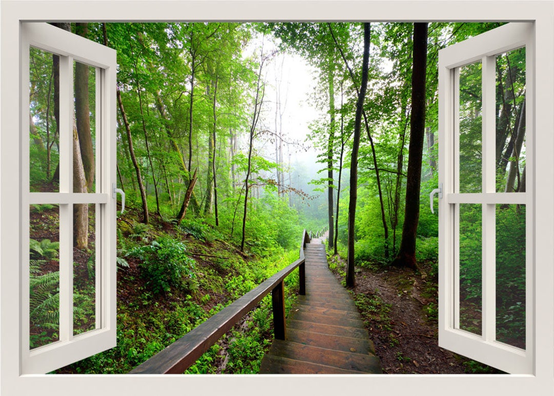 Jungle Wall Decal, Bridge in Forest Wall Decal, Walkway Forest 3d ...