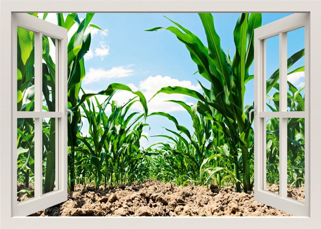 Corn Field Wall Sticker, Field Wall Decal, 3d Window View Nature Wall ...