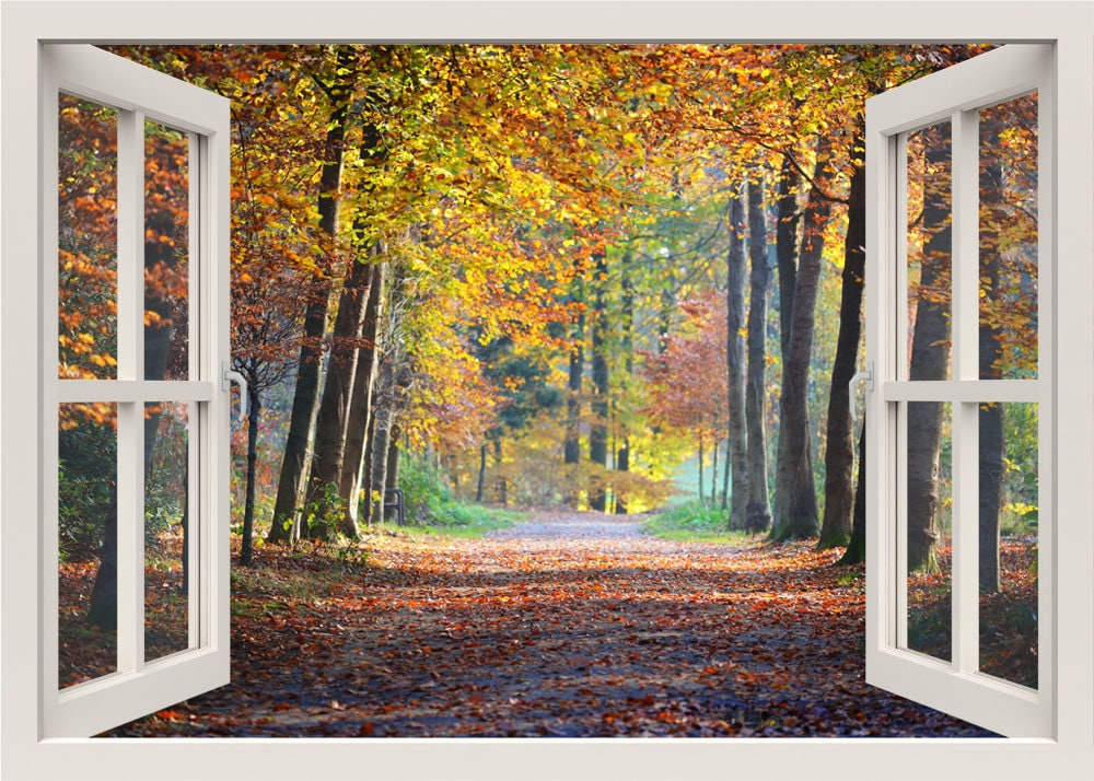Autumn Trees 3d Window Wall Decal Forest Wall Decal Autumn - Etsy