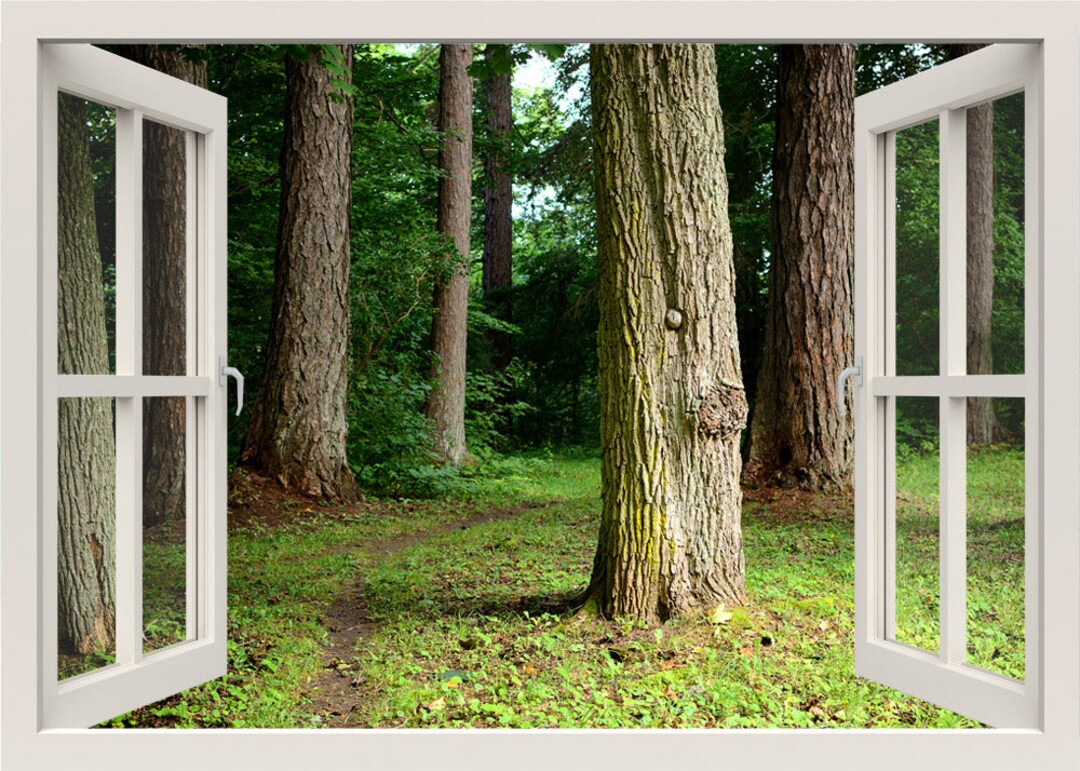 Huge Trees in the Forest Wall Decal, Forest Wall Sticker, 3d Window ...