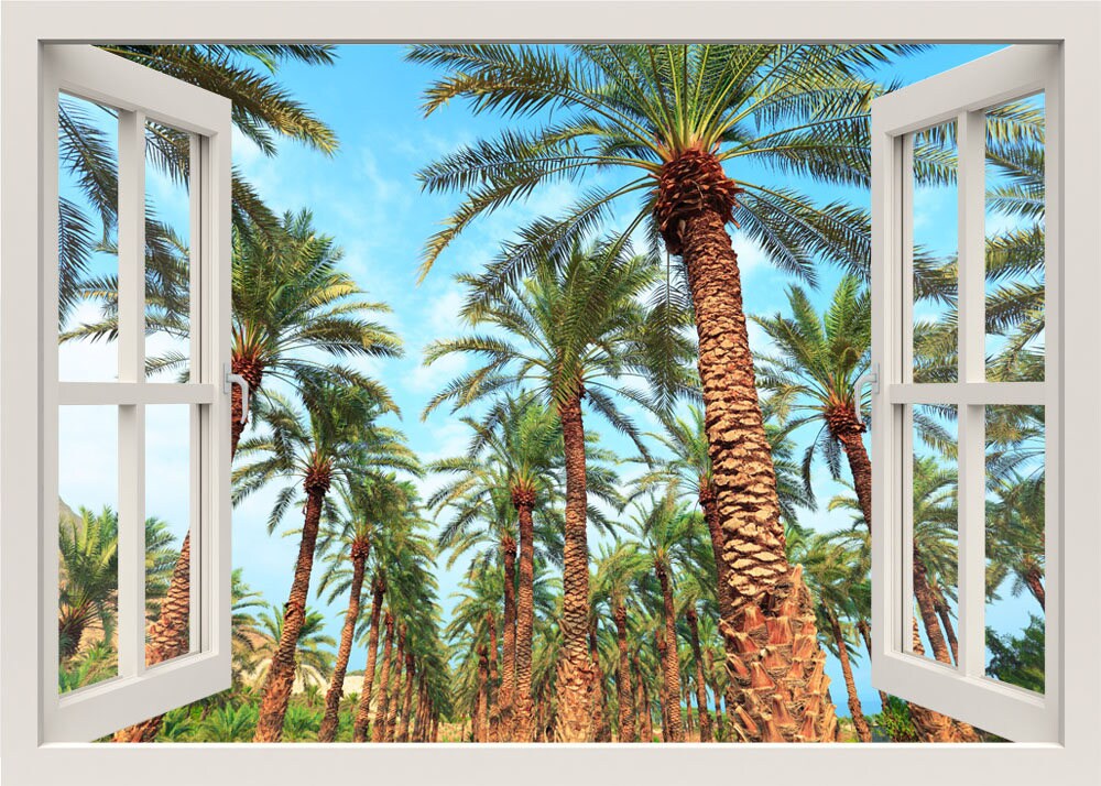 Tropical Beach Wall Decal, Palm Trees Wall Decal, 3d Window Wall Decal ...