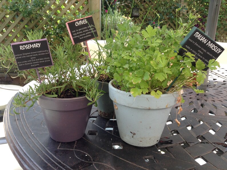 Rustic Wooden Herb Labels/plant Markers - Etsy