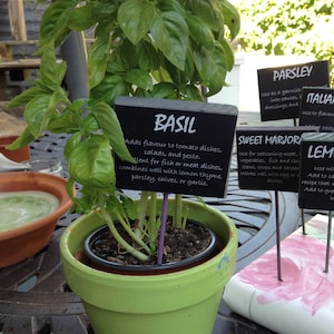 Rustic Wooden Herb Labels/plant Markers - Etsy