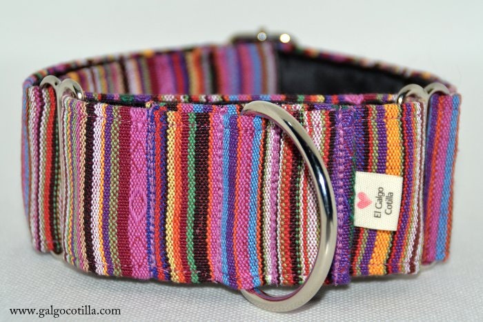 Martingalhalsband, Galgos Greyhound, verstellbar, ausbruchsicher ...