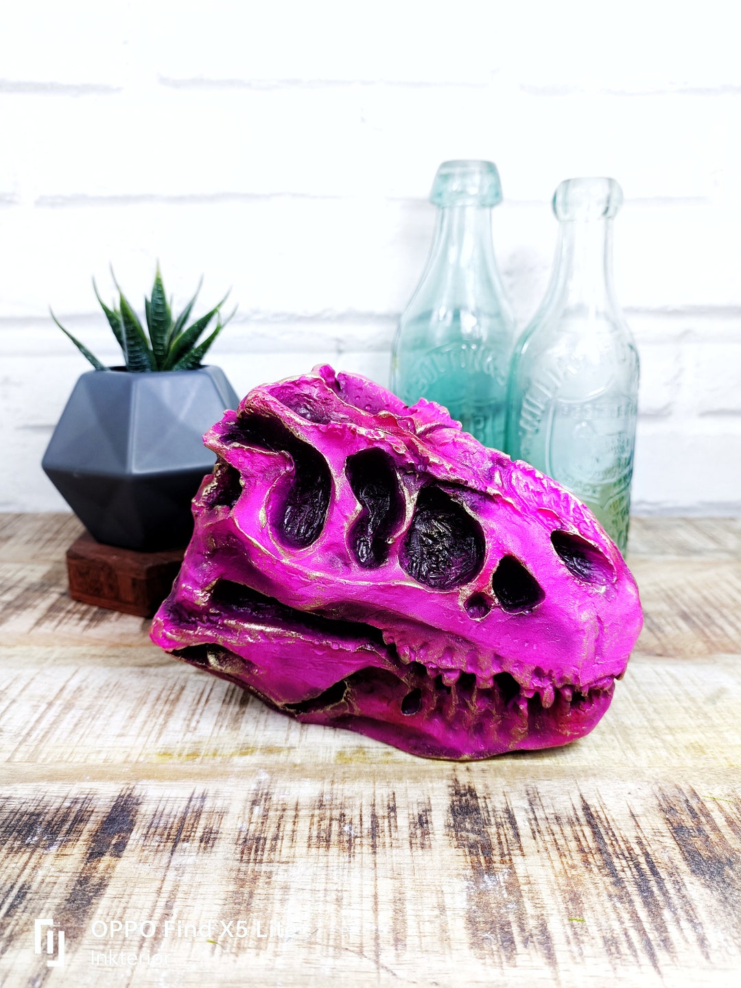 Hand Cast T-rex Skull Ornament, Gothic Dinosaur Decor - Etsy