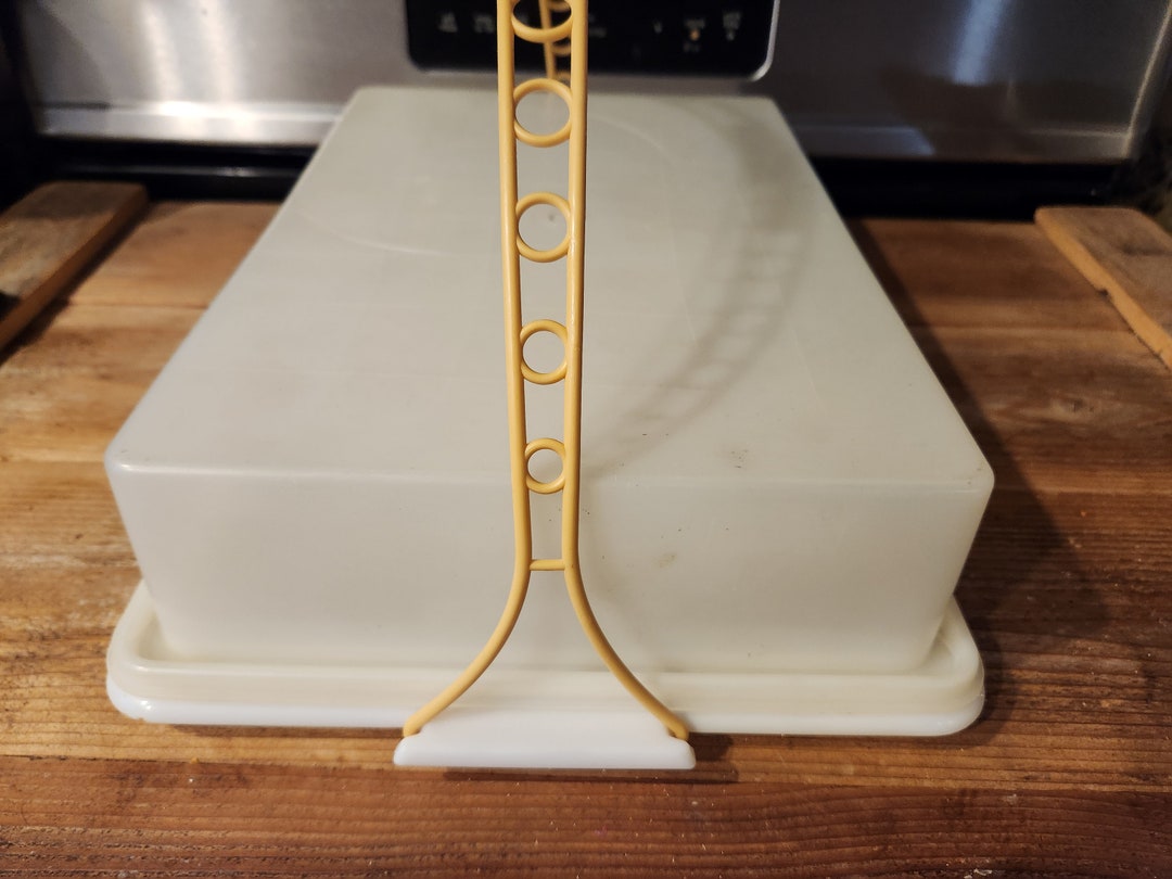 Vintage Tupperware Rectangular Cake Taker With Gold Strap Handle ...