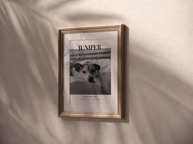 Custom Pet Definition Print, Custom Pet Name Poster, Personalised Pet ...