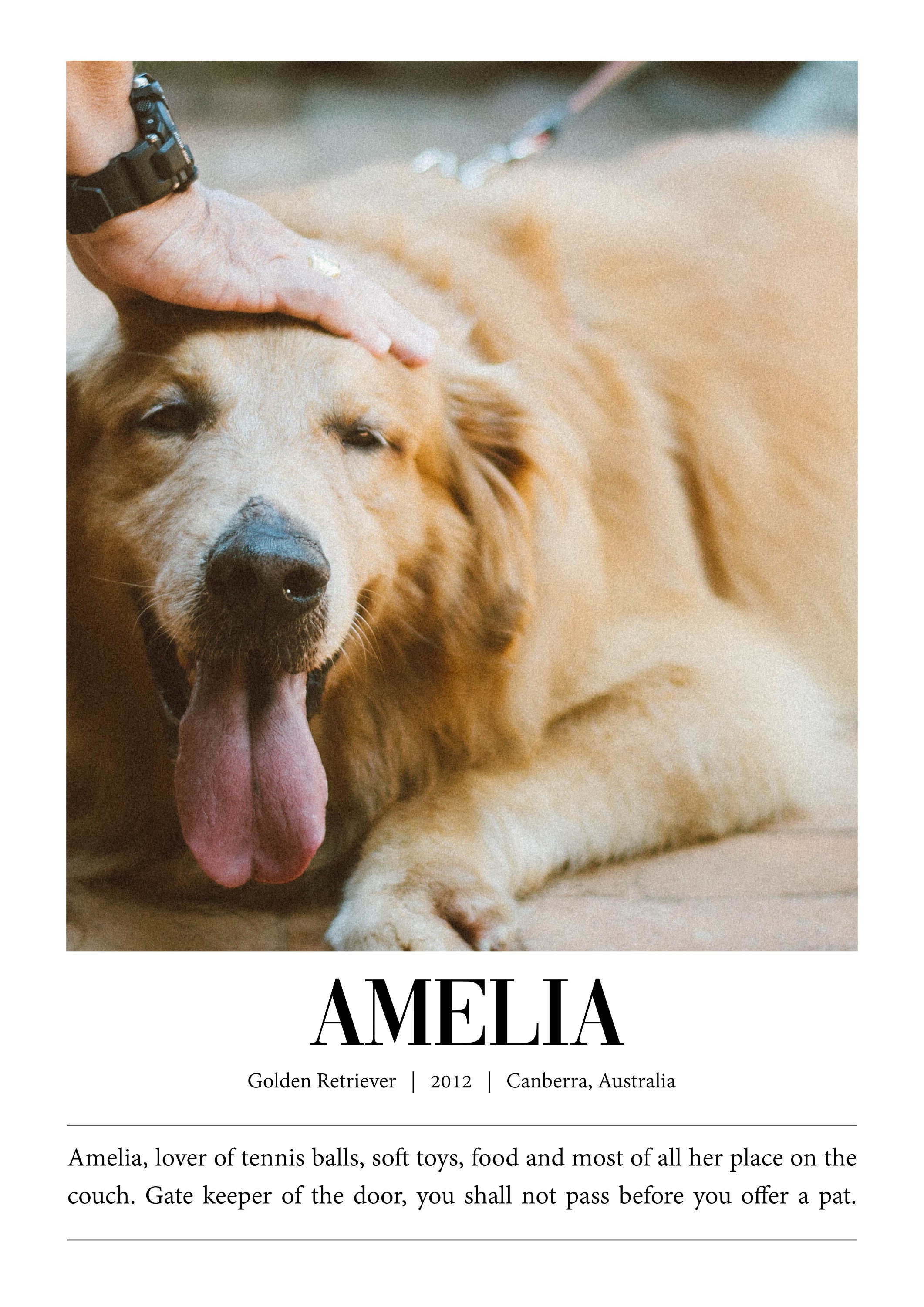 Custom Pet Print, Pet Poster, Customised Pet Portrait, Personalised Pet ...