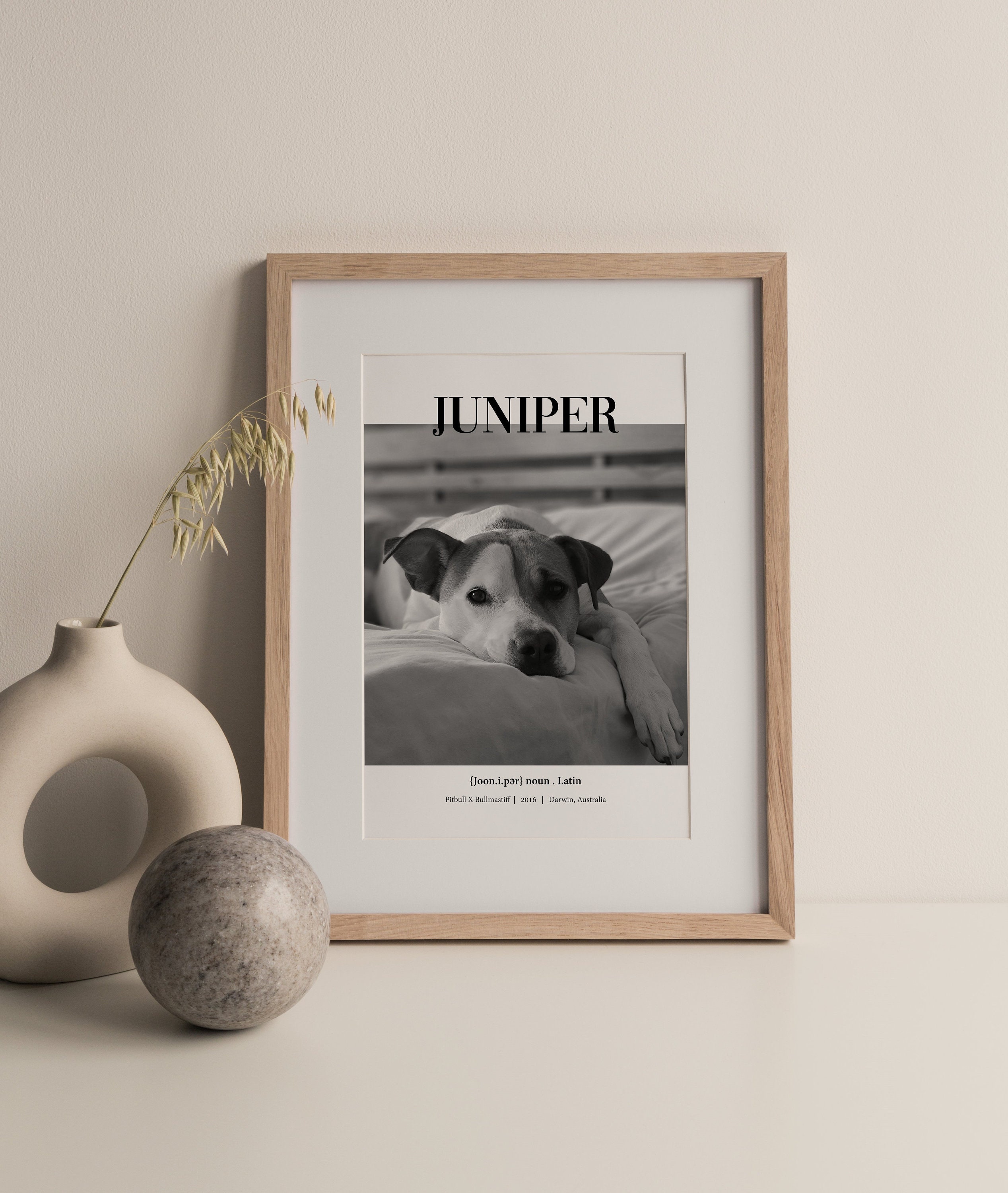 Custom Pet Definition Print, Custom Pet Name Poster, Personalised Pet ...