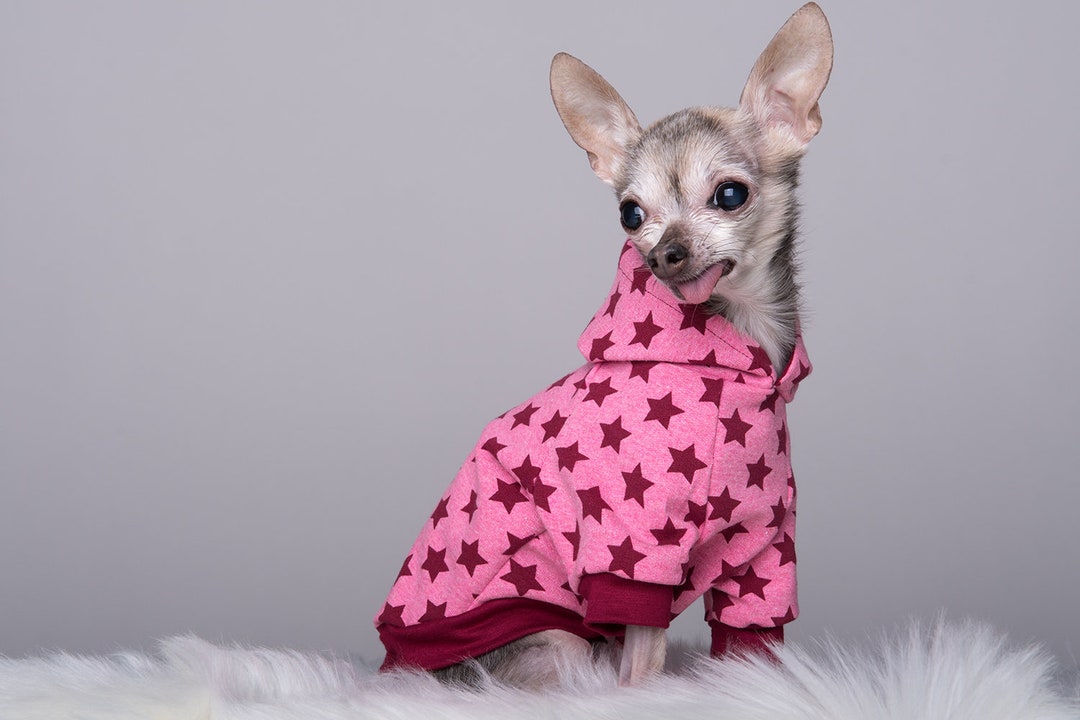 Star Hoodie for Dog, Hooded Star Tshirt for Dog, Also Available Without ...