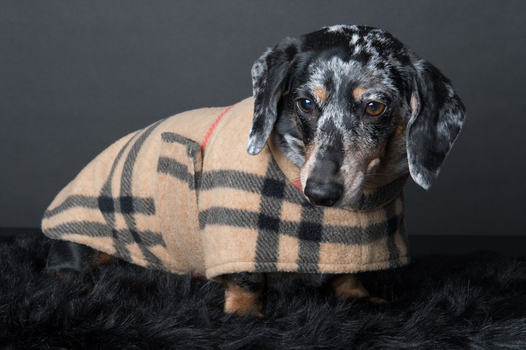 Many Choices of Colors Fleece Coat Jacket for Dachshund Wiener Lined ...