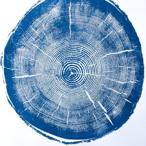 Tree Ring Art Print, Blue Cottonwood, Wood Slice, Tree Slice Print ...
