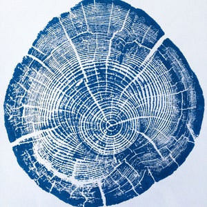 Wood Slice Print, Blue Montana, Beautiful Prints, Tree Ring Art ...