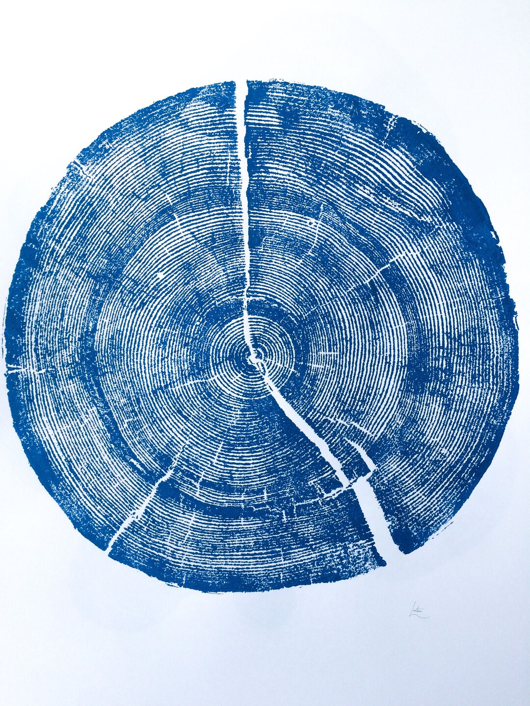 Wood Slice, Blue Rock Canyon, Tree Stump Art, Tree Ring Art Print ...