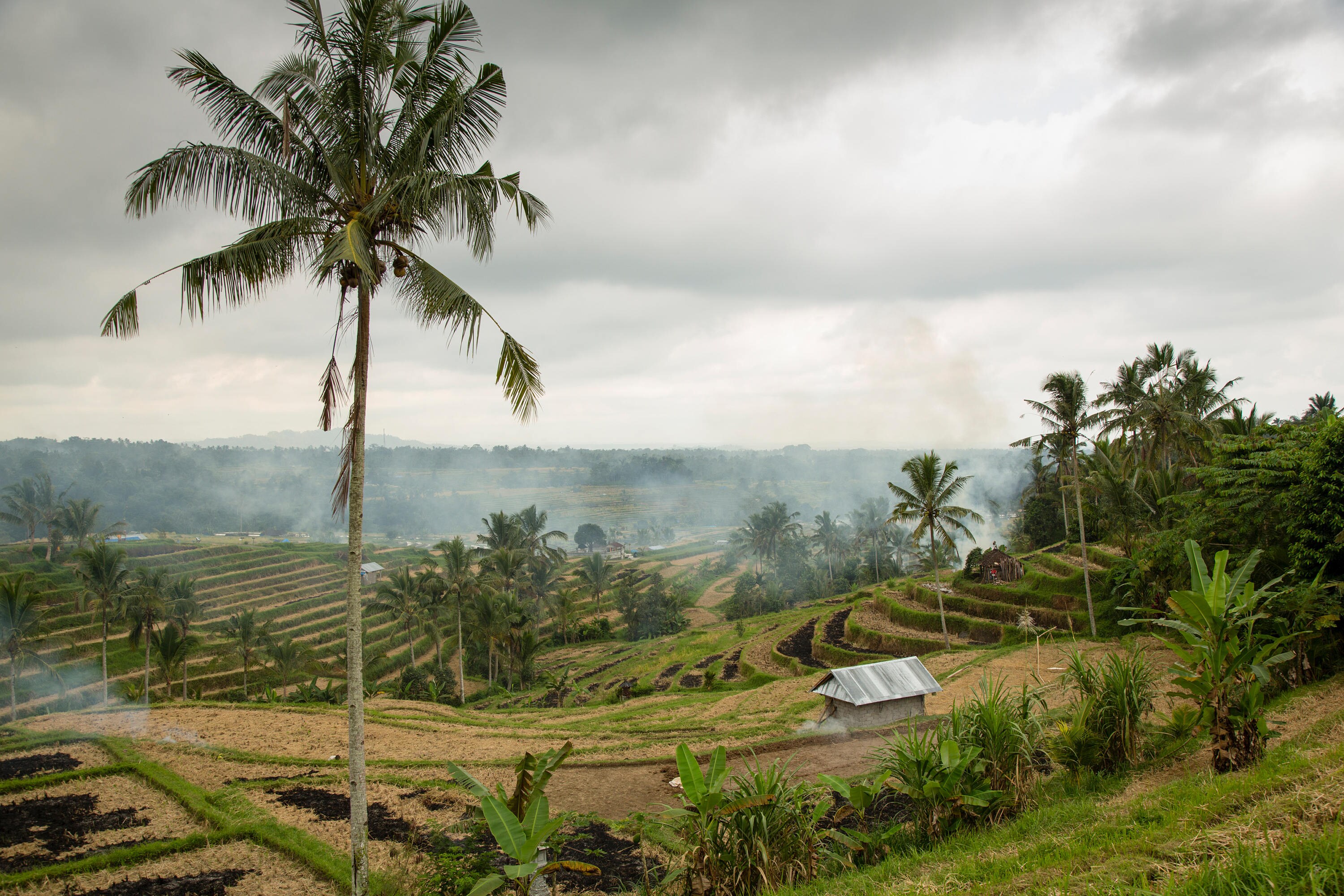 Bali Travel Photo Large Wall Decor Landscape Photography - Etsy
