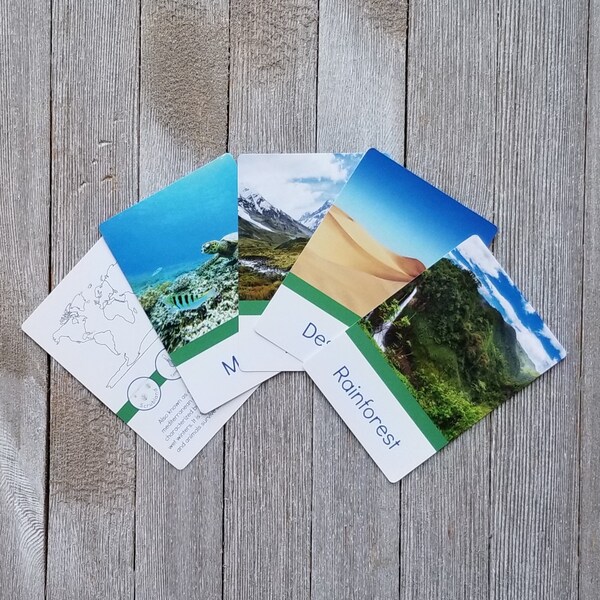 Biome Cards - Etsy