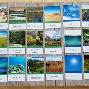 Biome Cards - Etsy