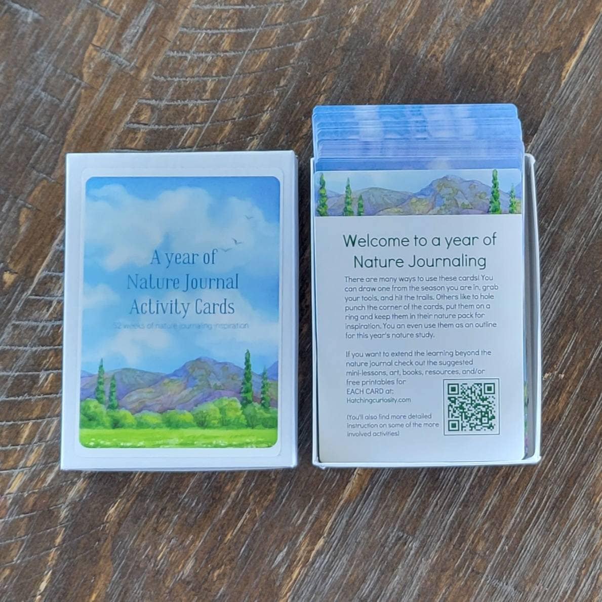 A Year of Nature Journaling Activity Cards - Etsy