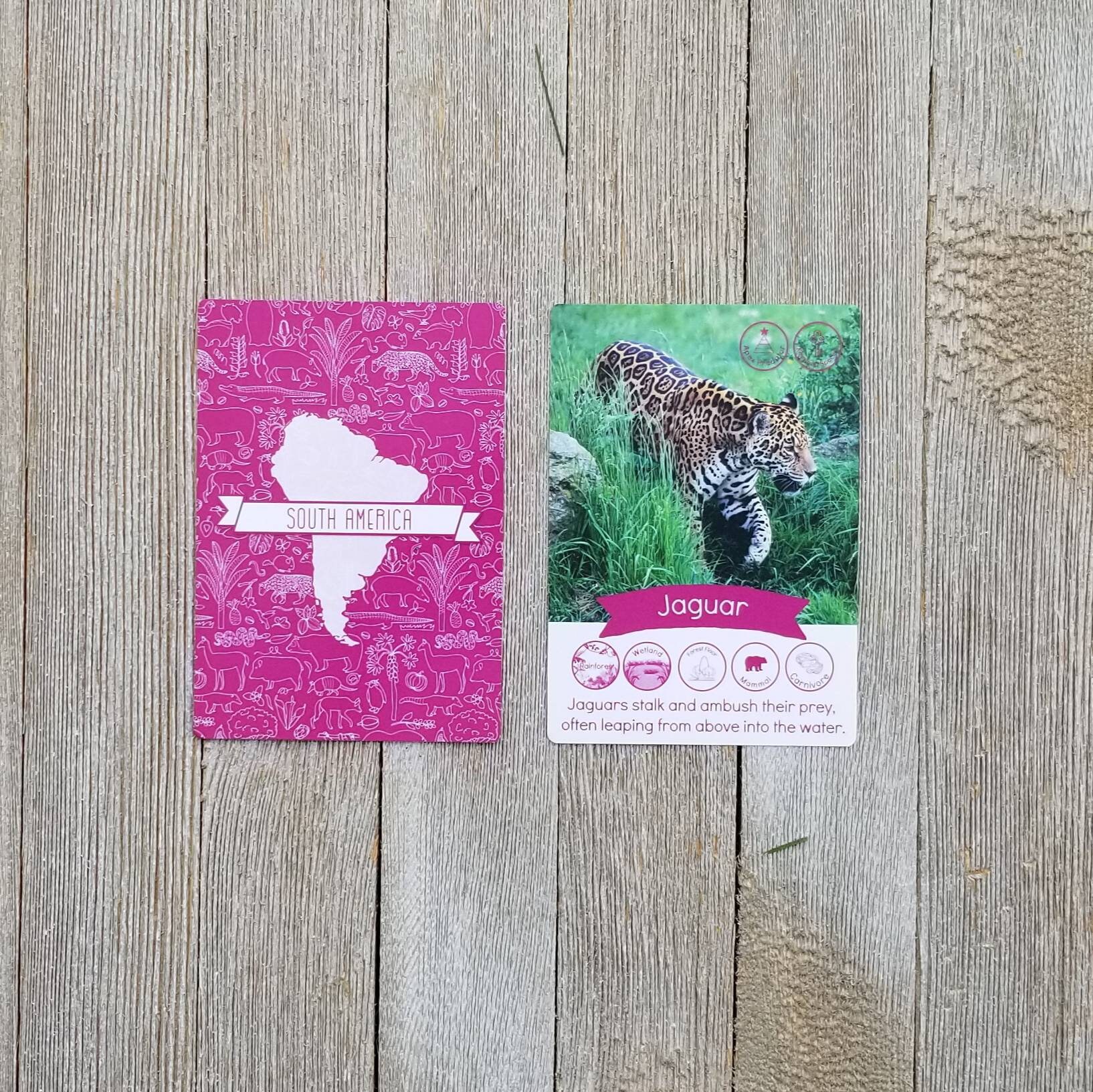 Plant & Animal Continent cards | Etsy
