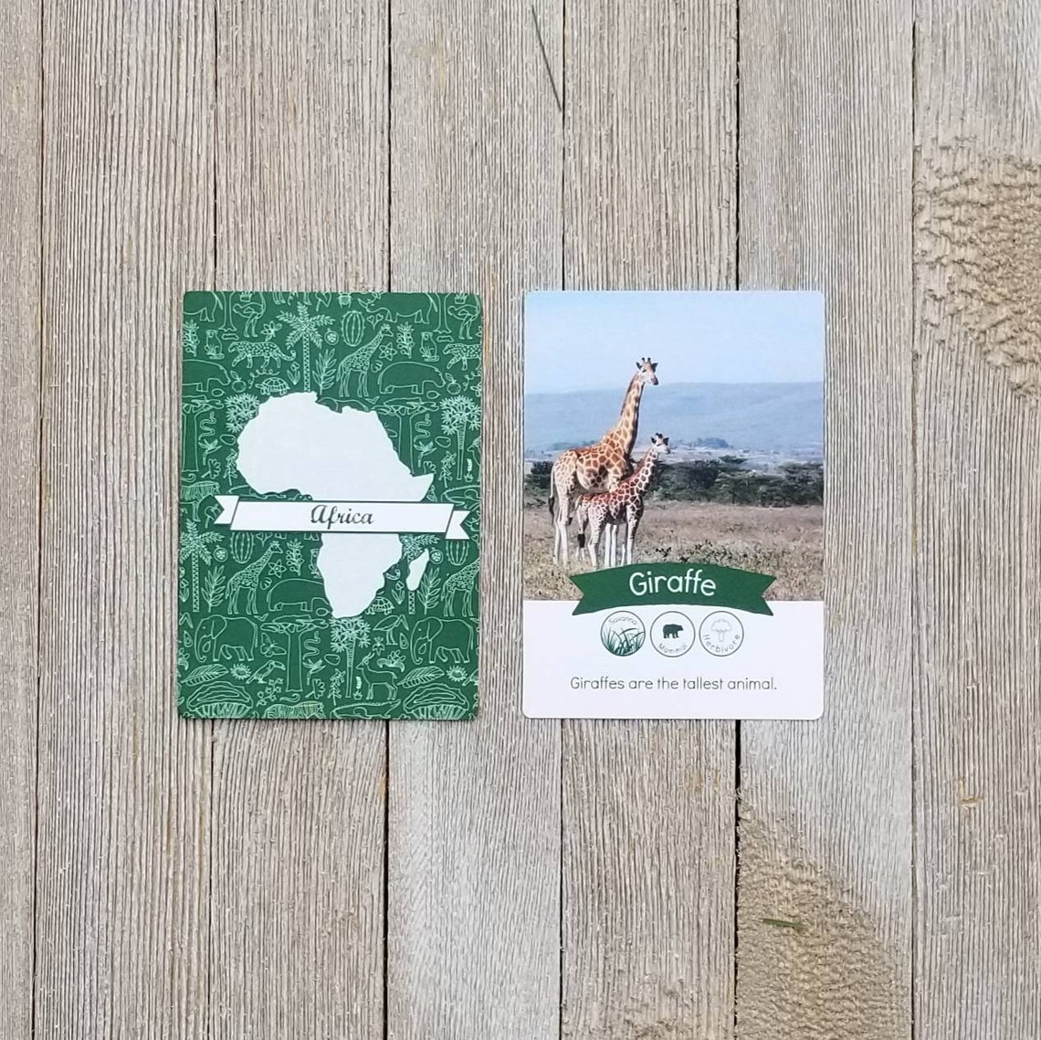 Plant & Animal Continent cards | Etsy