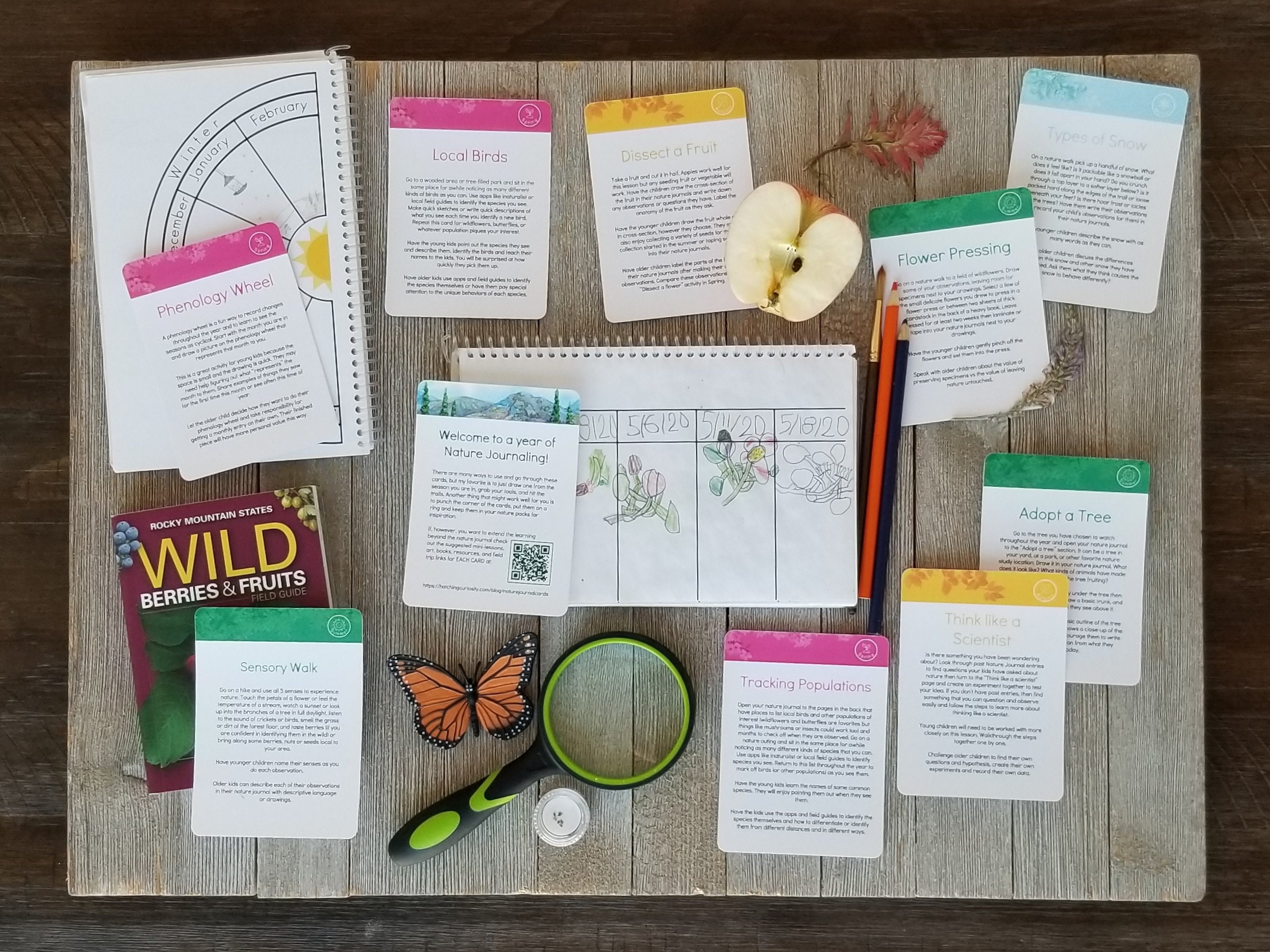 A Year of Nature Journaling Activity Cards - Etsy