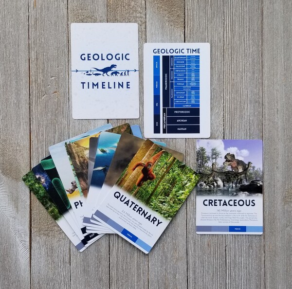 Safari Animals Print Copywork, Safari Animal Facts, Print Handwriting ...