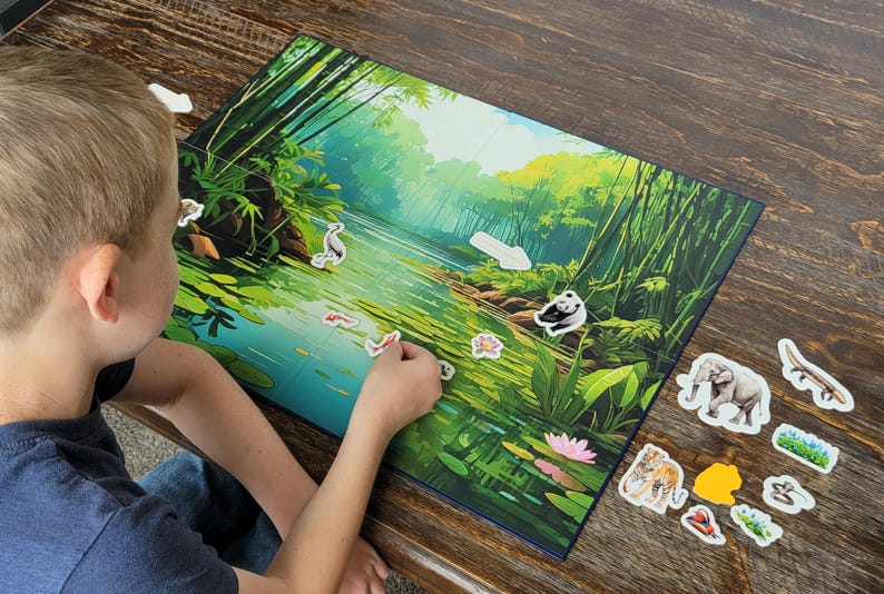 Asia Map & Biome Board (double Sided) - Etsy