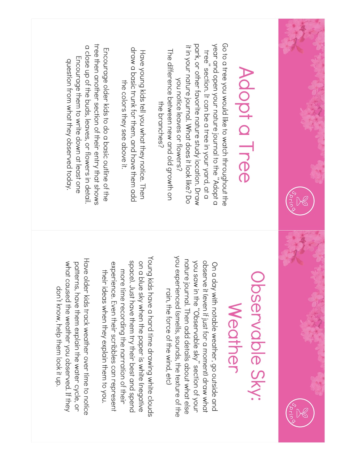 Printable Nature Journaling Cards - Etsy