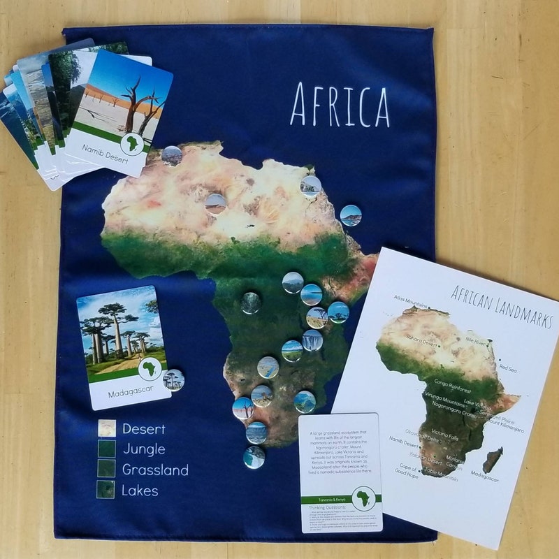 HatchingCuriosity - Etsy