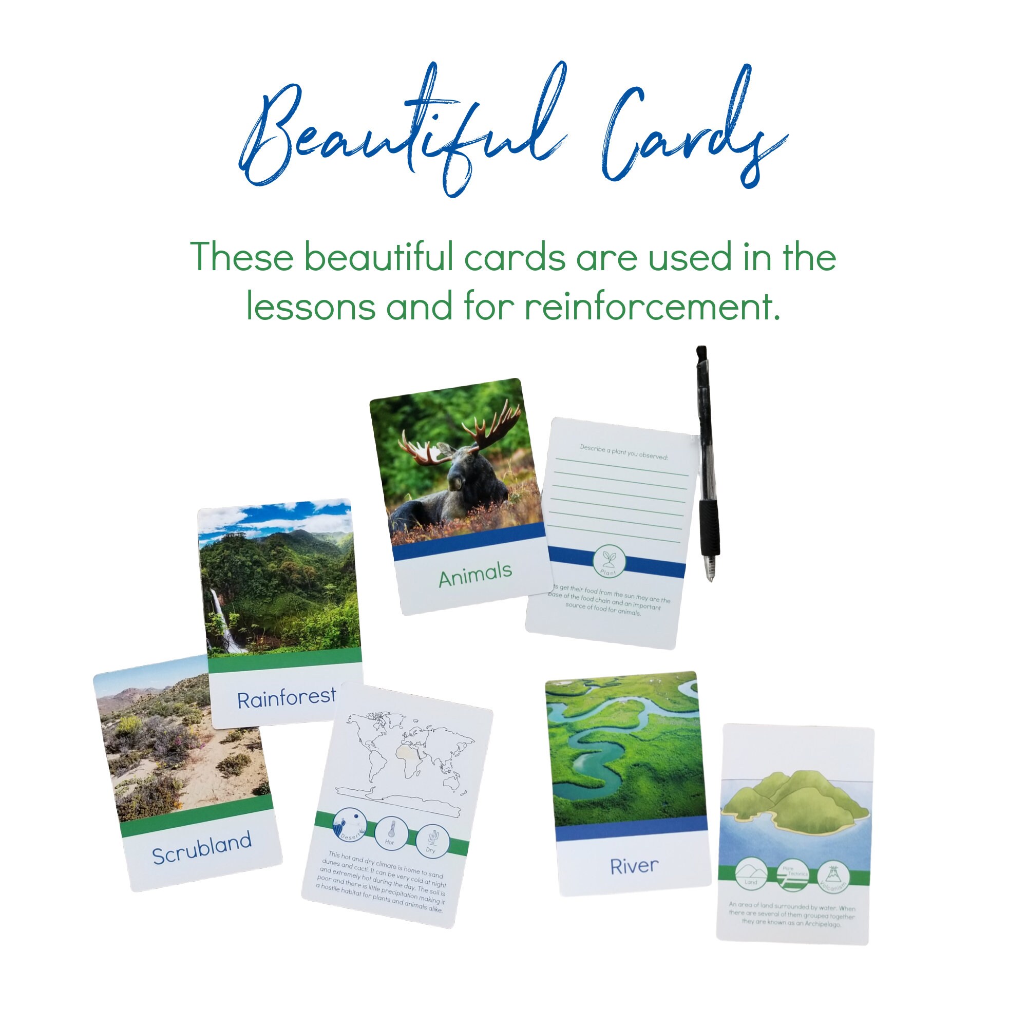 Landforms & Biomes: Foundations in Earth Science/ecology for Elementary ...