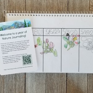 A Year of Nature Journaling Activity Cards - Etsy