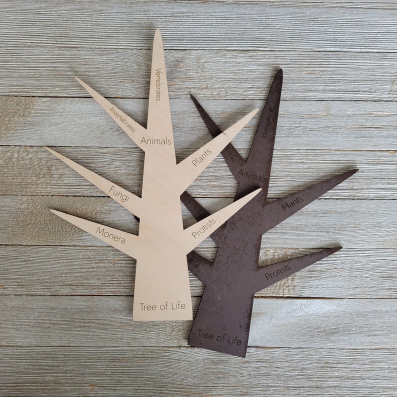 Tree of Life Kingdom Classification Manipulative | Etsy