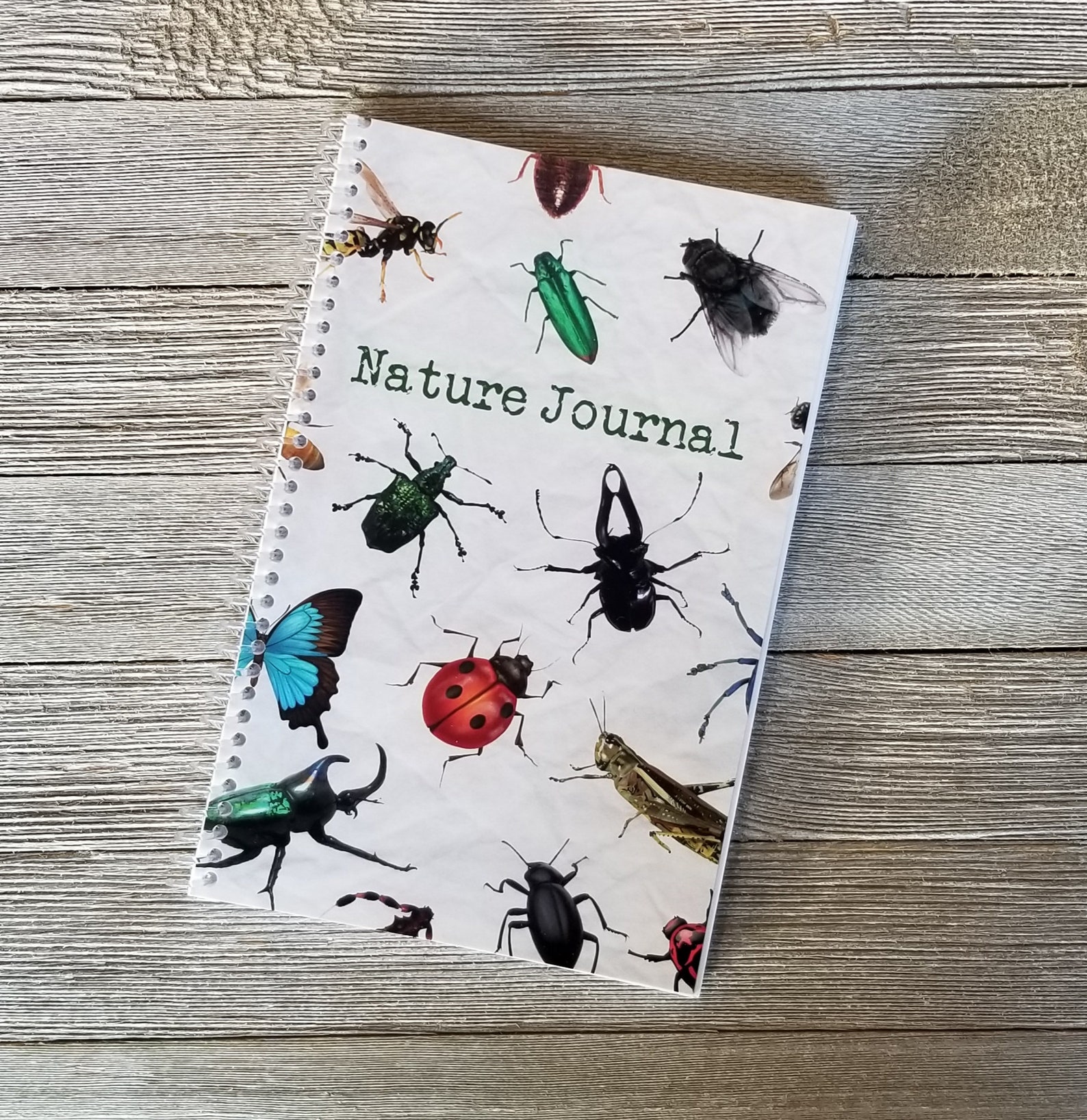 Basic Nature Journal - Etsy