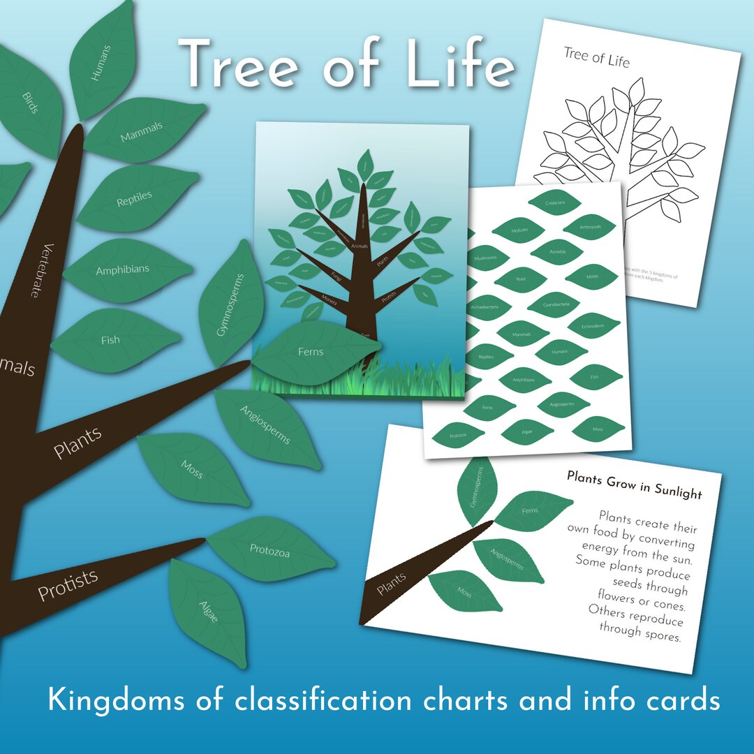 Tree of Life Kingdom Classification Control Chart, Activity and Info ...