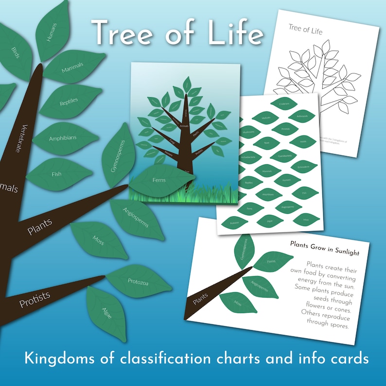Tree of Life Kingdom Classification Control Chart, Activity and Info ...