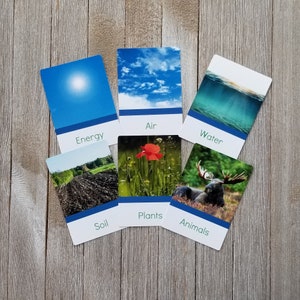 Biome Cards - Etsy