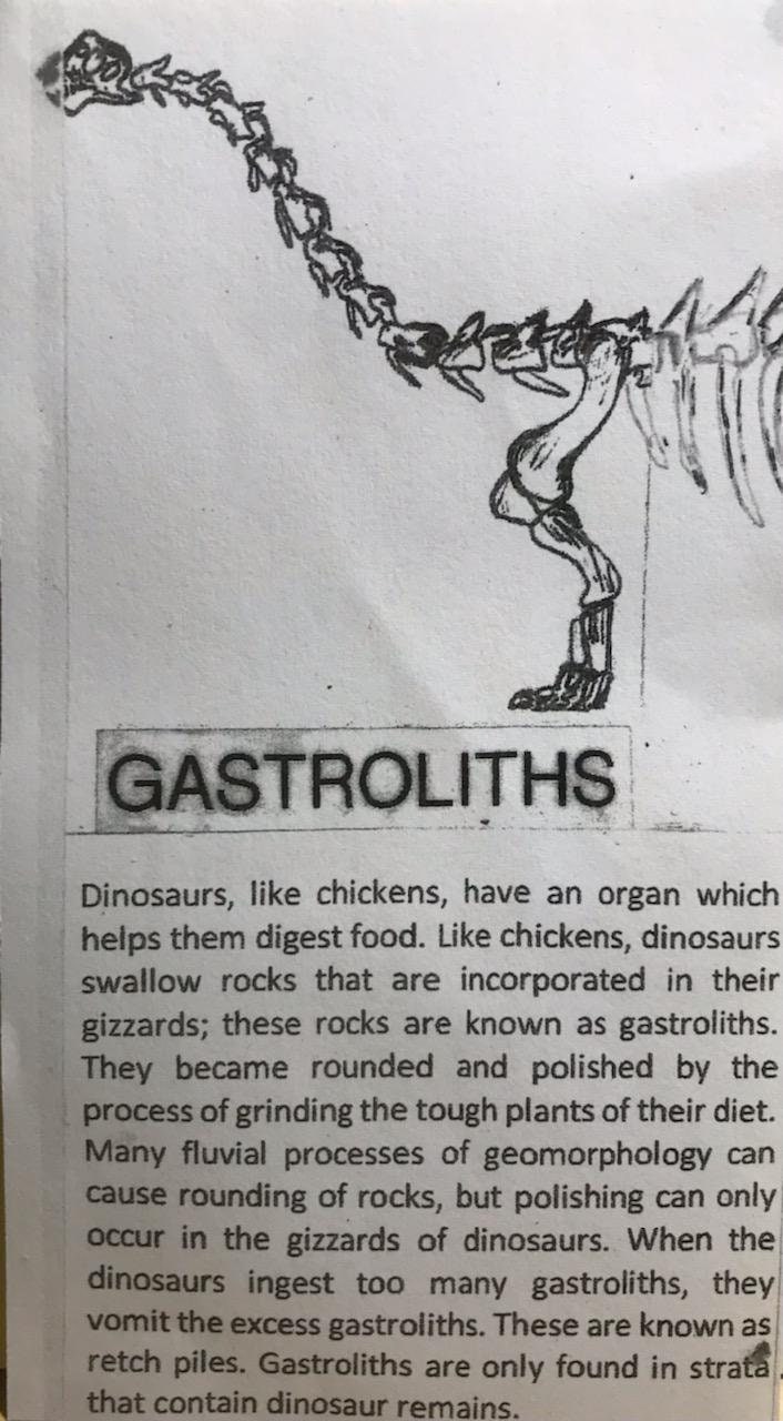 Mini Gastrolith and Turd Set - Etsy