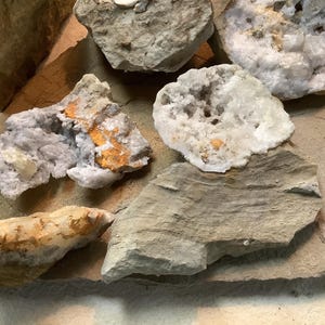Collection of Indiana Geodes - Etsy